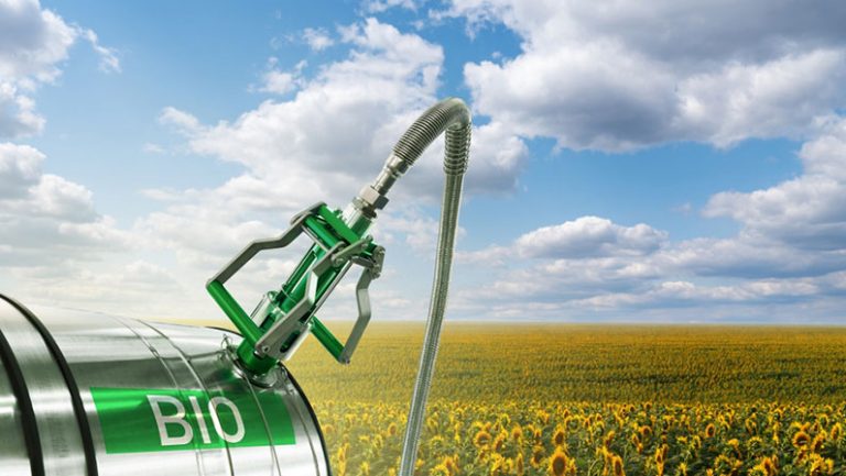 Is Biodiesel The Same As Diesel? - King Fuels